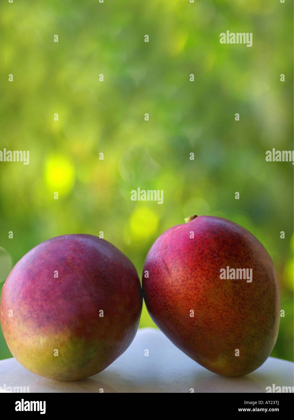 Yellowish mangoes hi-res stock photography and images - Alamy