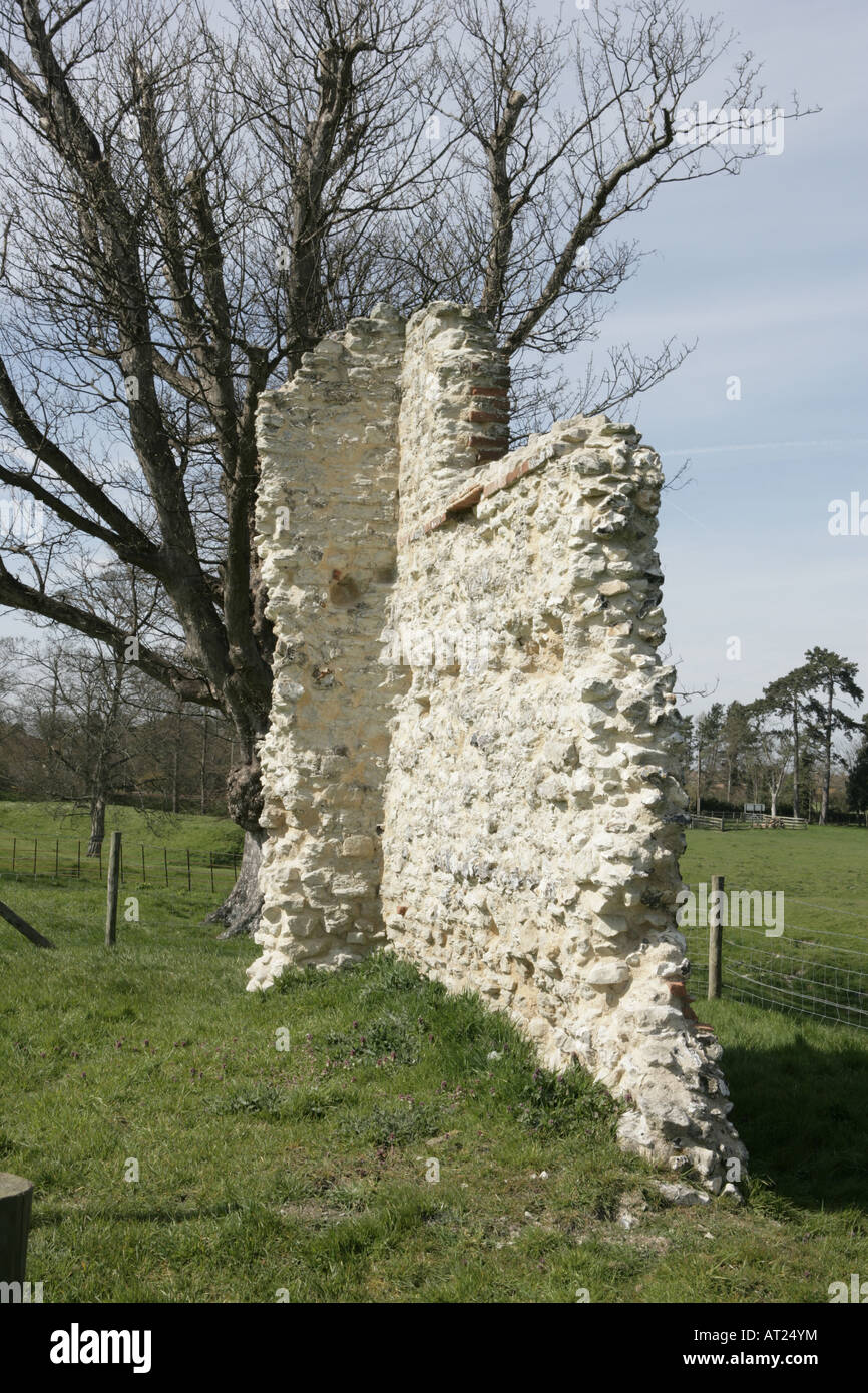Ruins of Wallingford Castle was built in Norman times by Robert Doyley ...