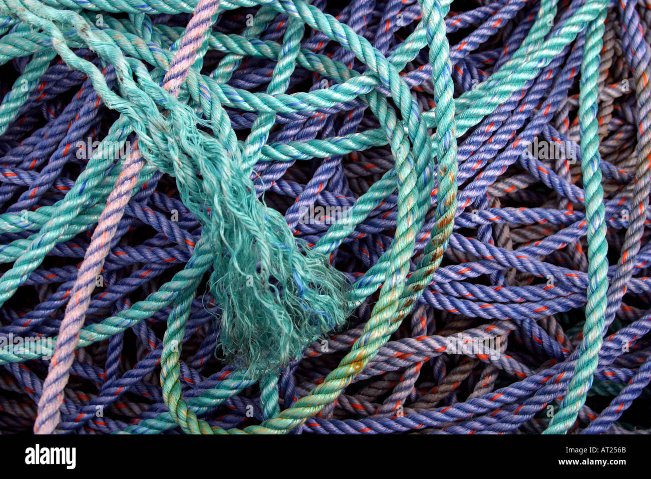 Tangled netting Stock Photo - Alamy