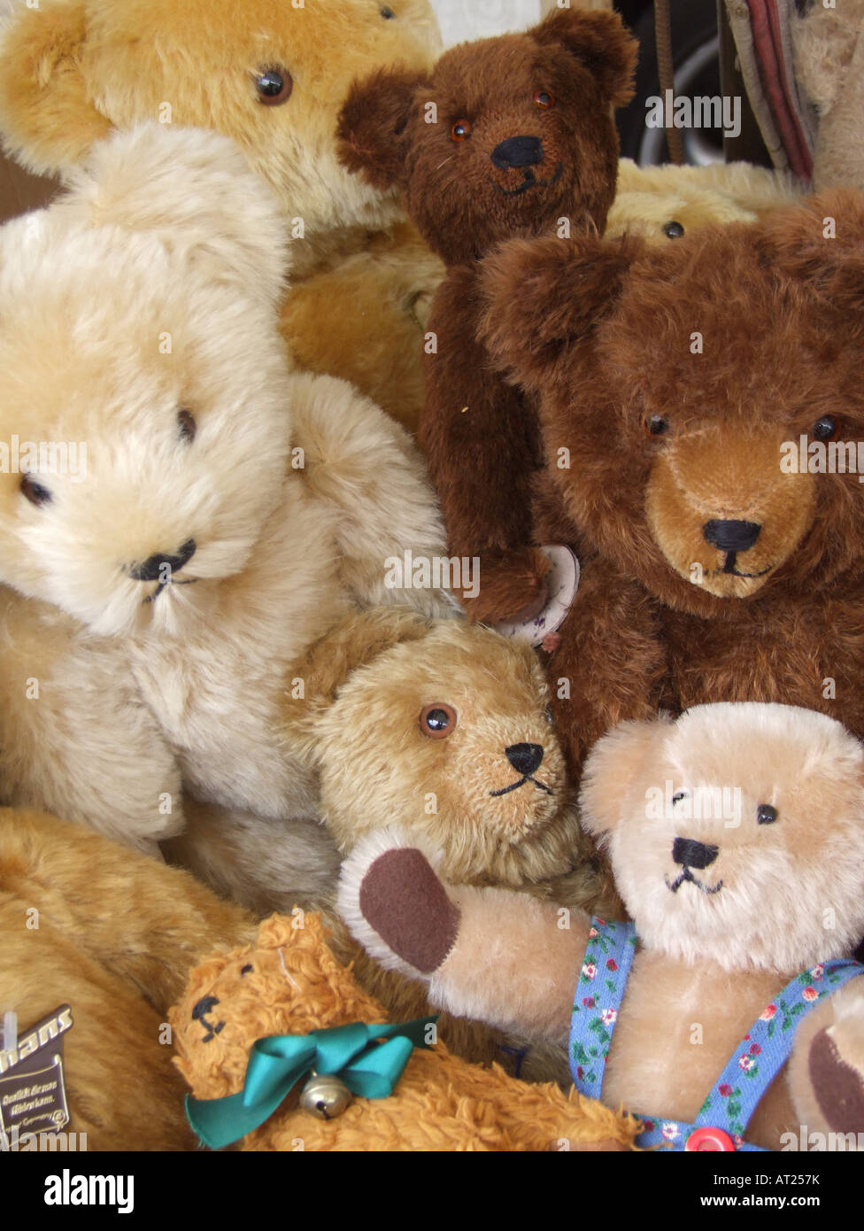 a box full of teddy bears Stock Photo - Alamy