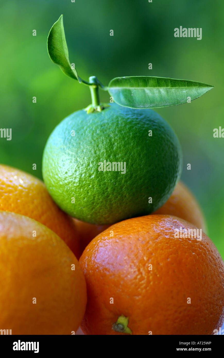 Green orange Stock Photo - Alamy