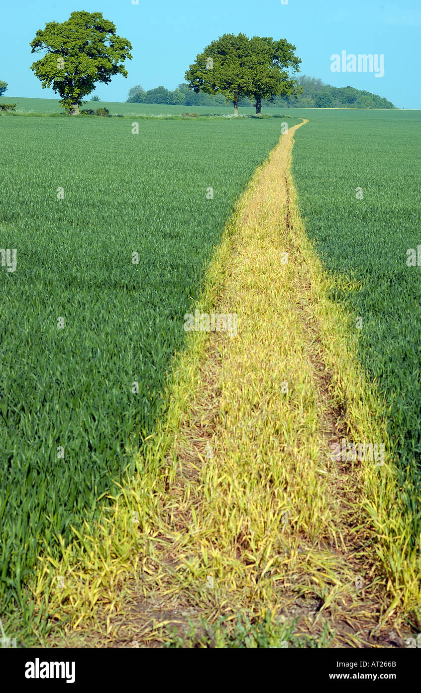 England footpath through farm hi-res stock photography and images - Alamy