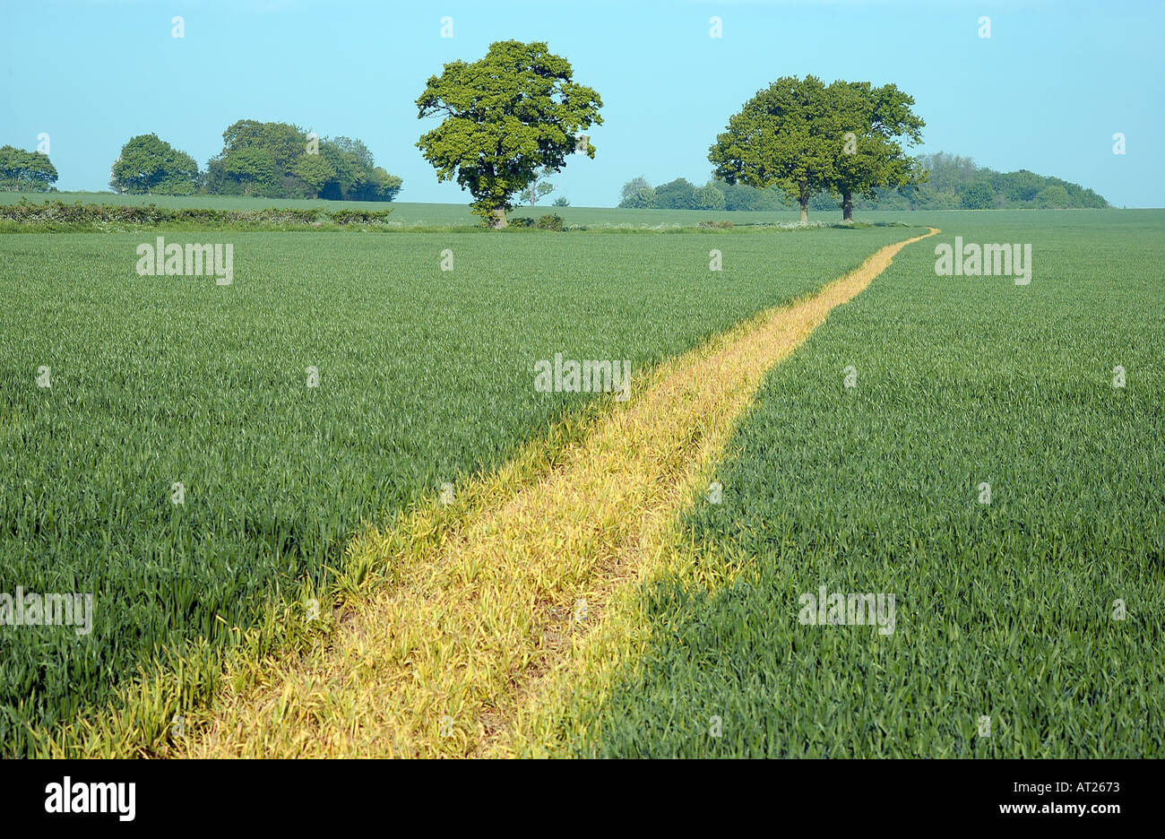 Narrow path across field hi-res stock photography and images - Alamy