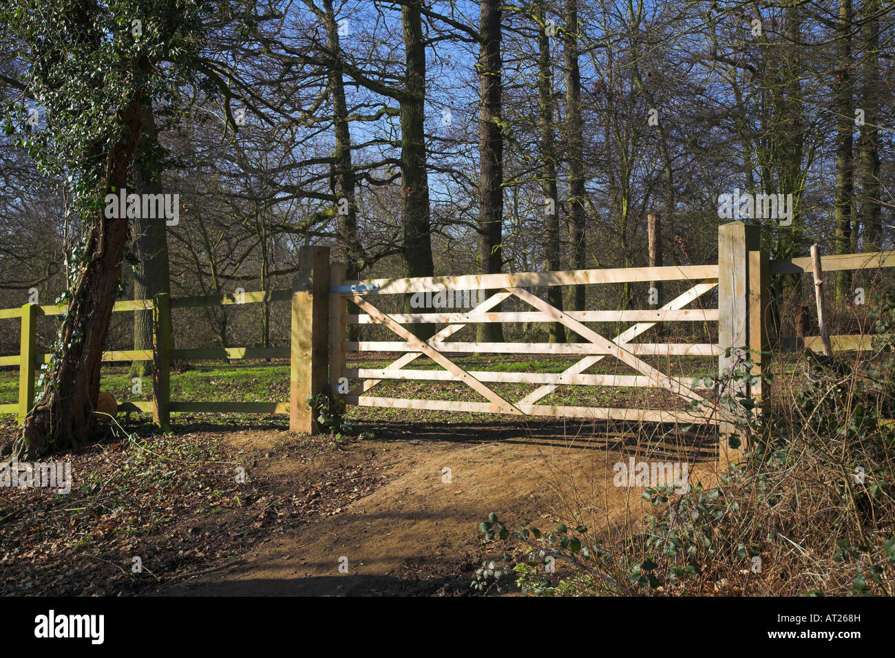 Gateway leading to tree hi-res stock photography and images - Alamy
