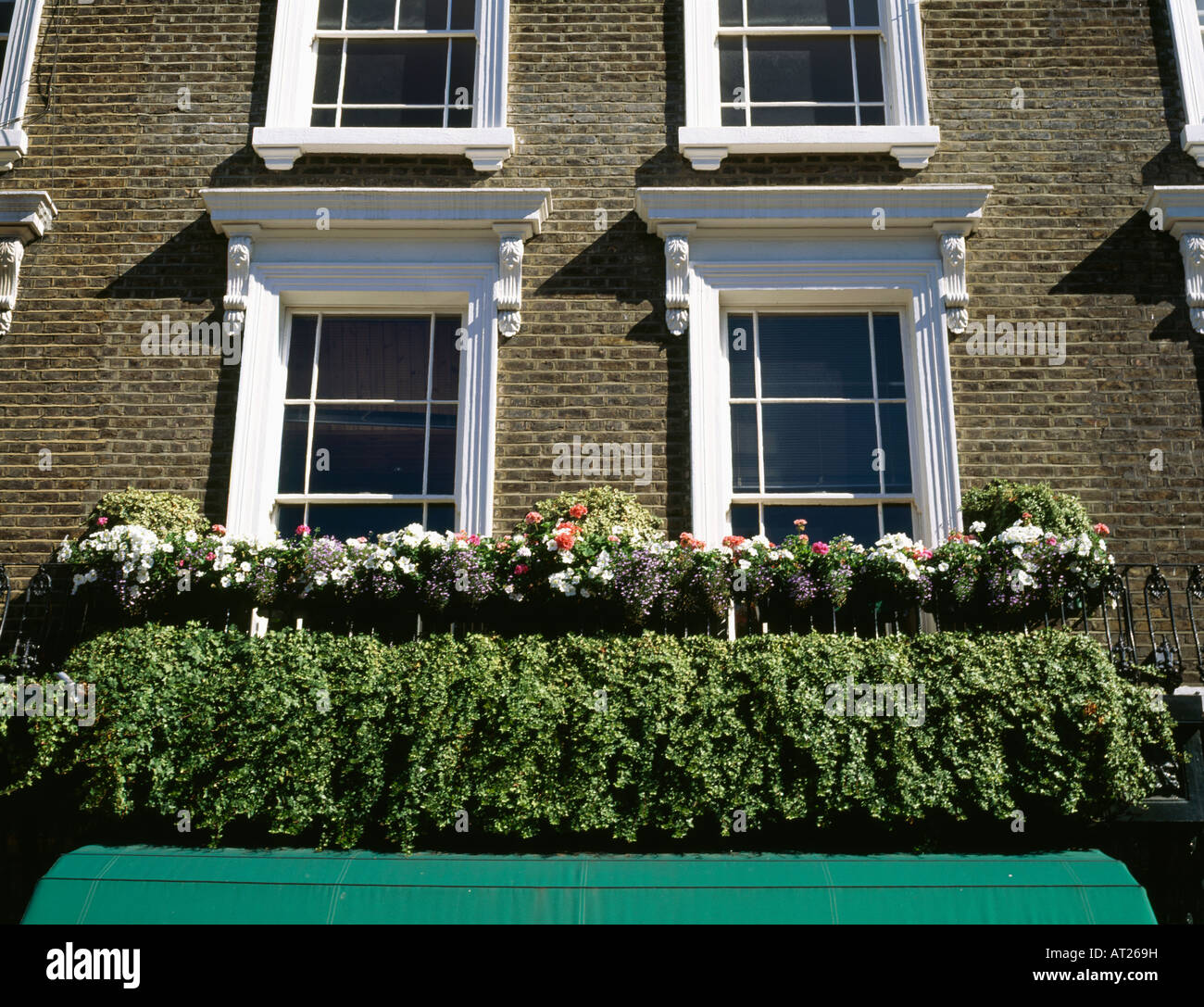 Trailing ivy and flowering plants in windowboxes on first floor of ...