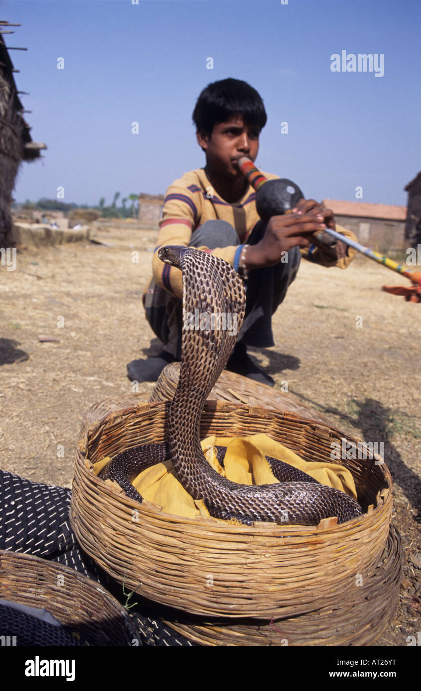Kalbeliya snake charmer, Madhya Pradesh, India Stock Photo - Alamy