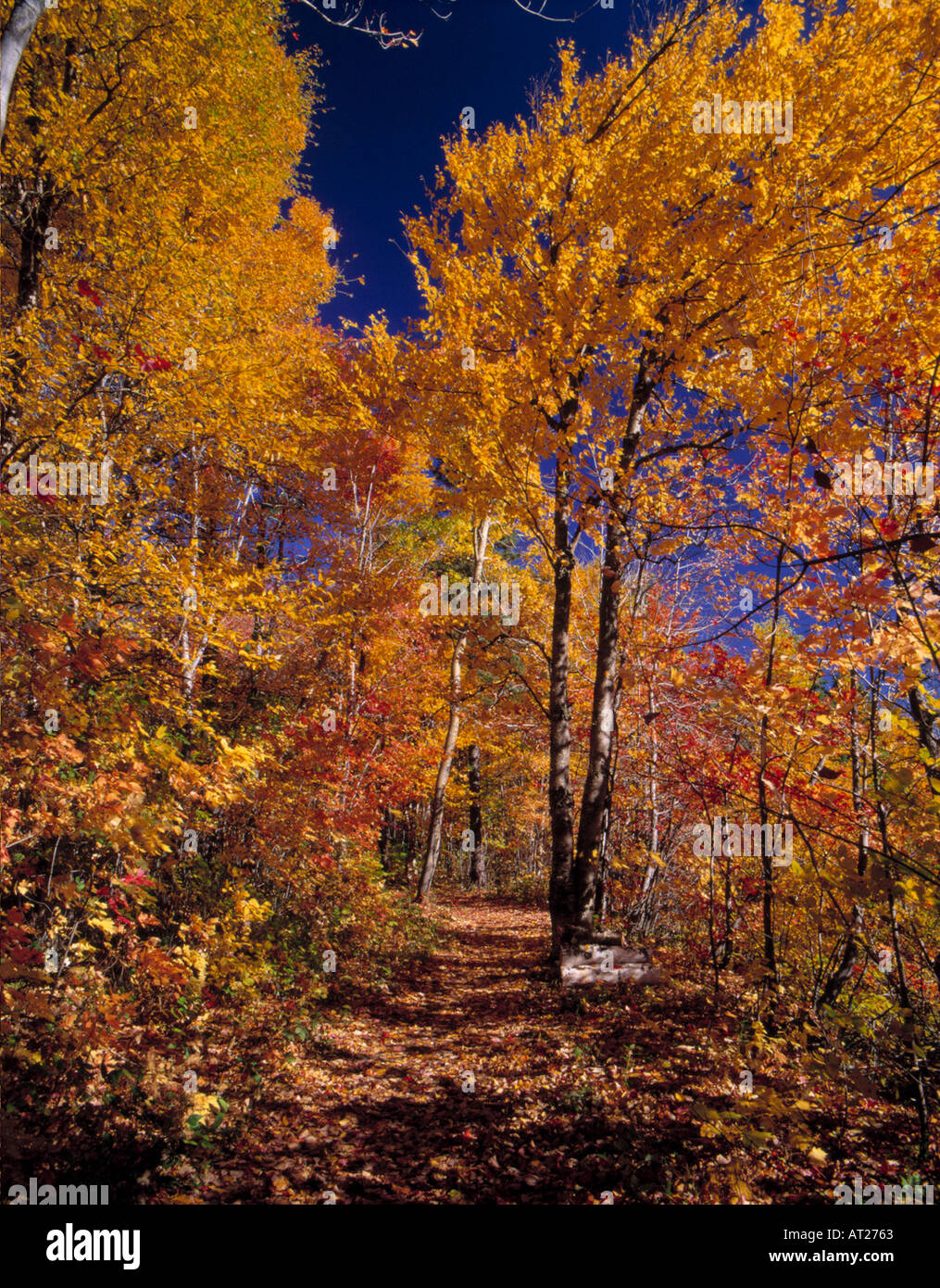 Fall in The Province of Quebec Canada Stock Photo - Alamy