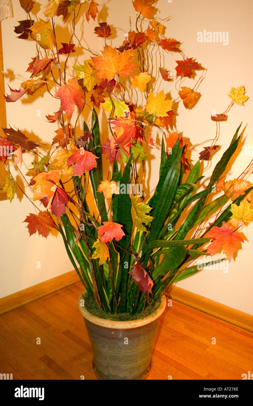 Myras hi-res stock photography and images - Alamy