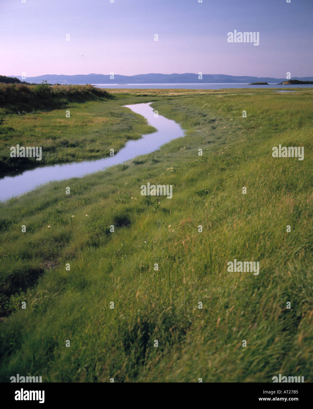 Salted Marsh Saint Louis de Kamouraska Province of Quebec Stock Photo ...