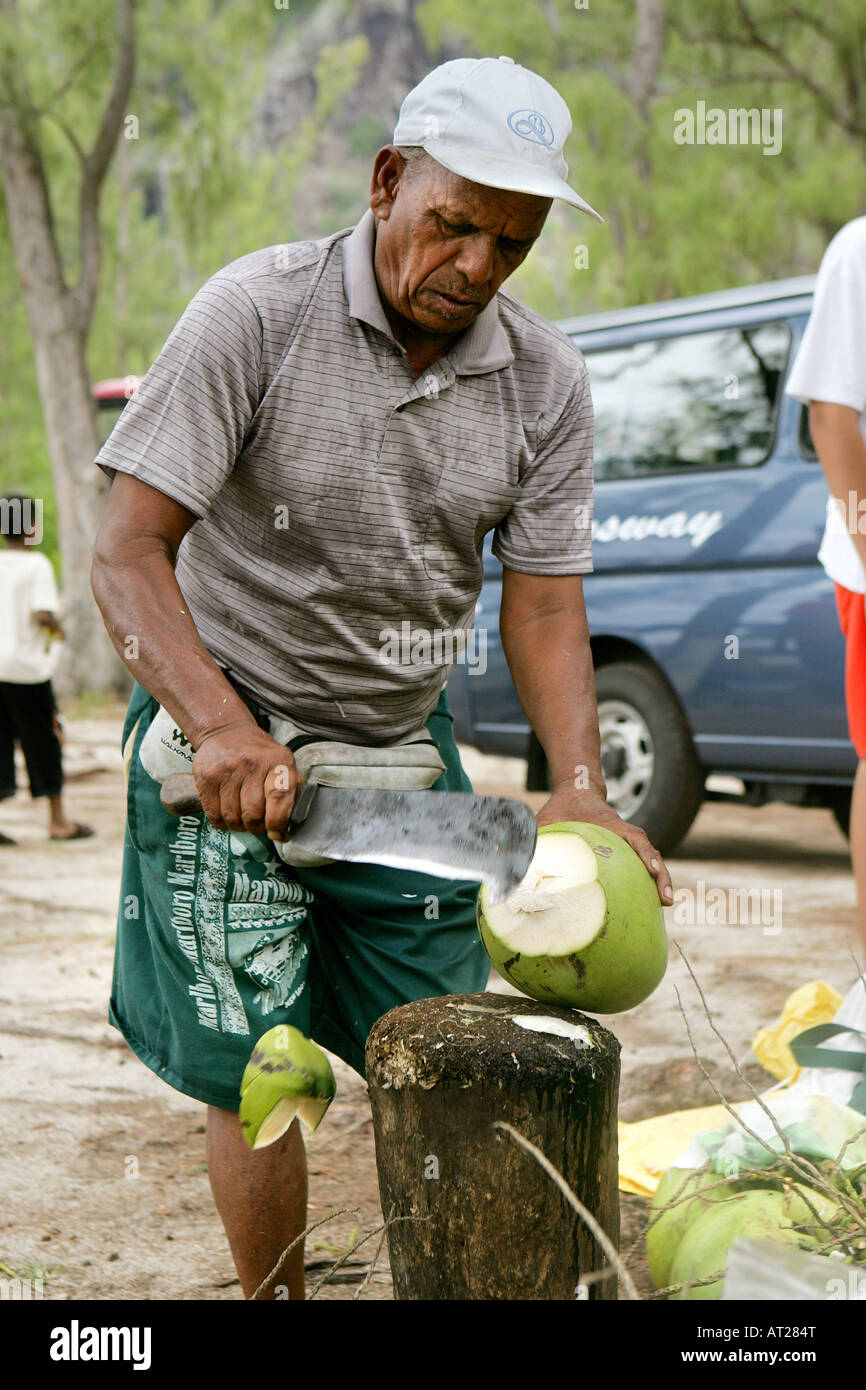 Coconut Stall, Belle Mare, Mauritius Stock Photo - Alamy