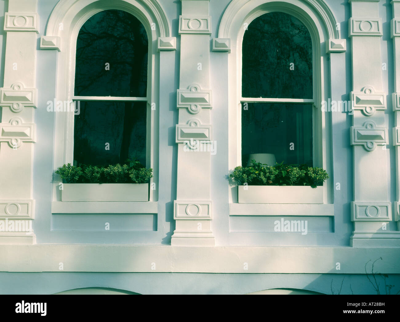Close up of ornate plasterwork and arched sash windows with buxus in ...