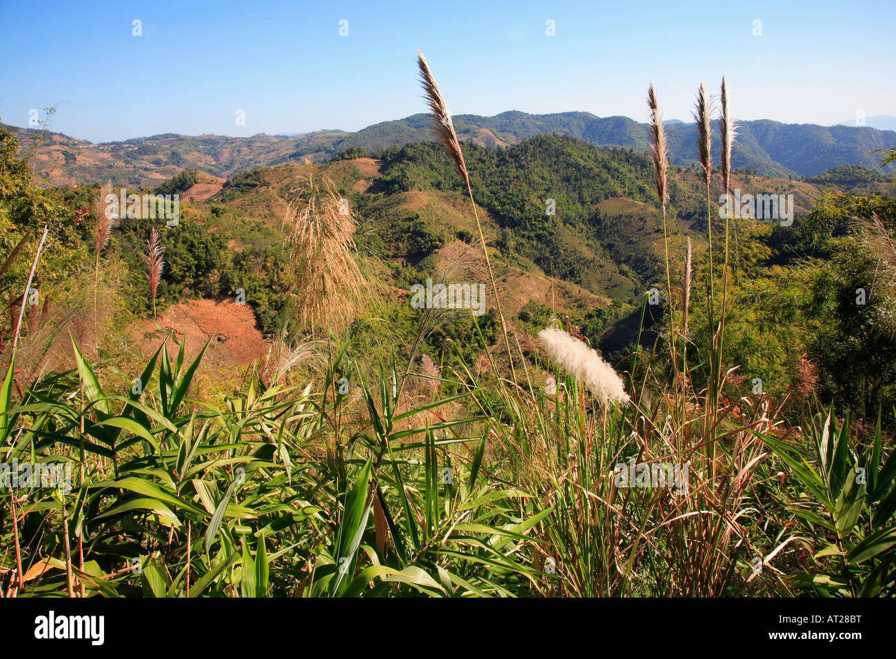 Rai triangle hi-res stock photography and images - Alamy