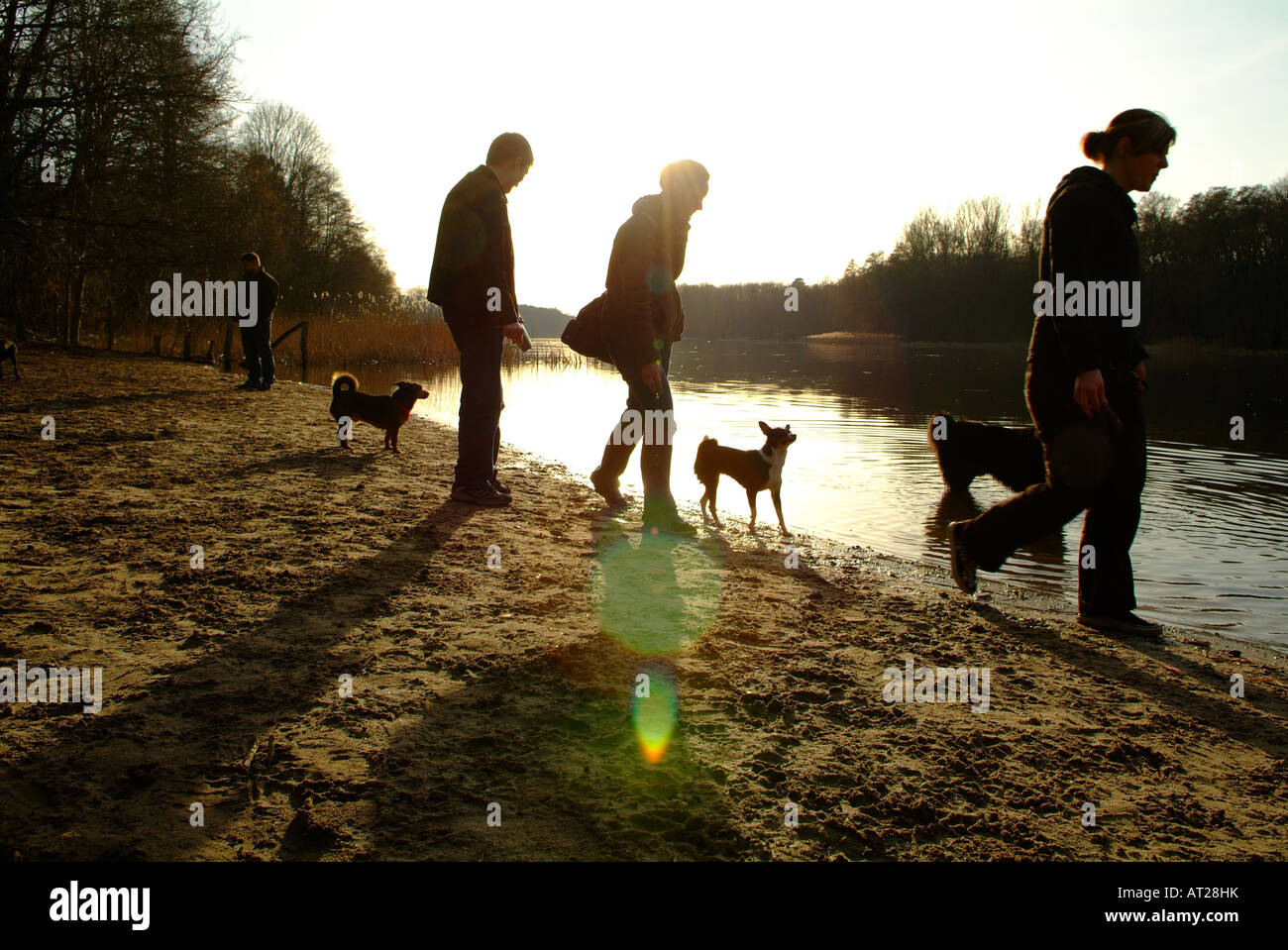 Berlin dogs hi-res stock photography and images - Alamy