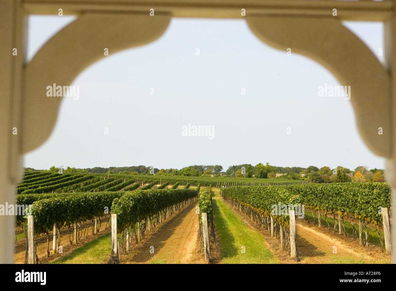 USA, New York, The Hamptons, Farmlands and flower fields Stock Photo ...