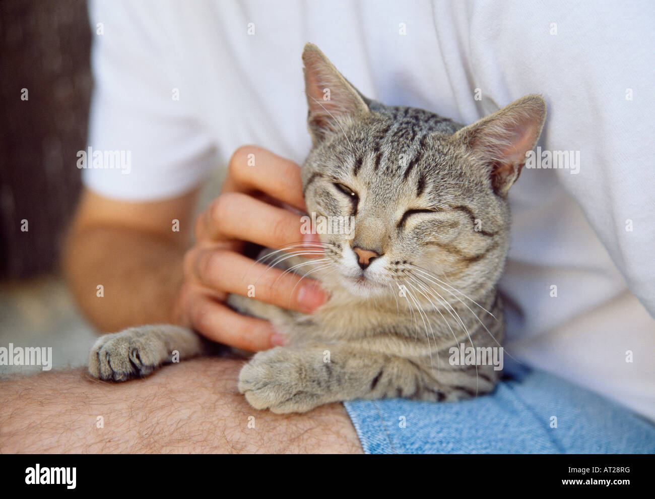 Semicerrados hi-res stock photography and images - Alamy