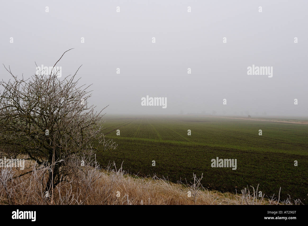 Fen sky hi-res stock photography and images - Alamy