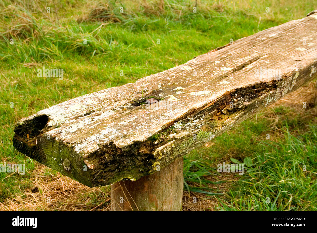 Decaying bench hi-res stock photography and images - Alamy
