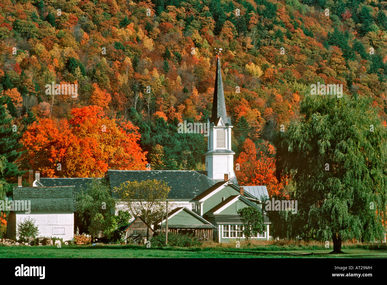 Sharon Green High Resolution Stock Photography and Images - Alamy