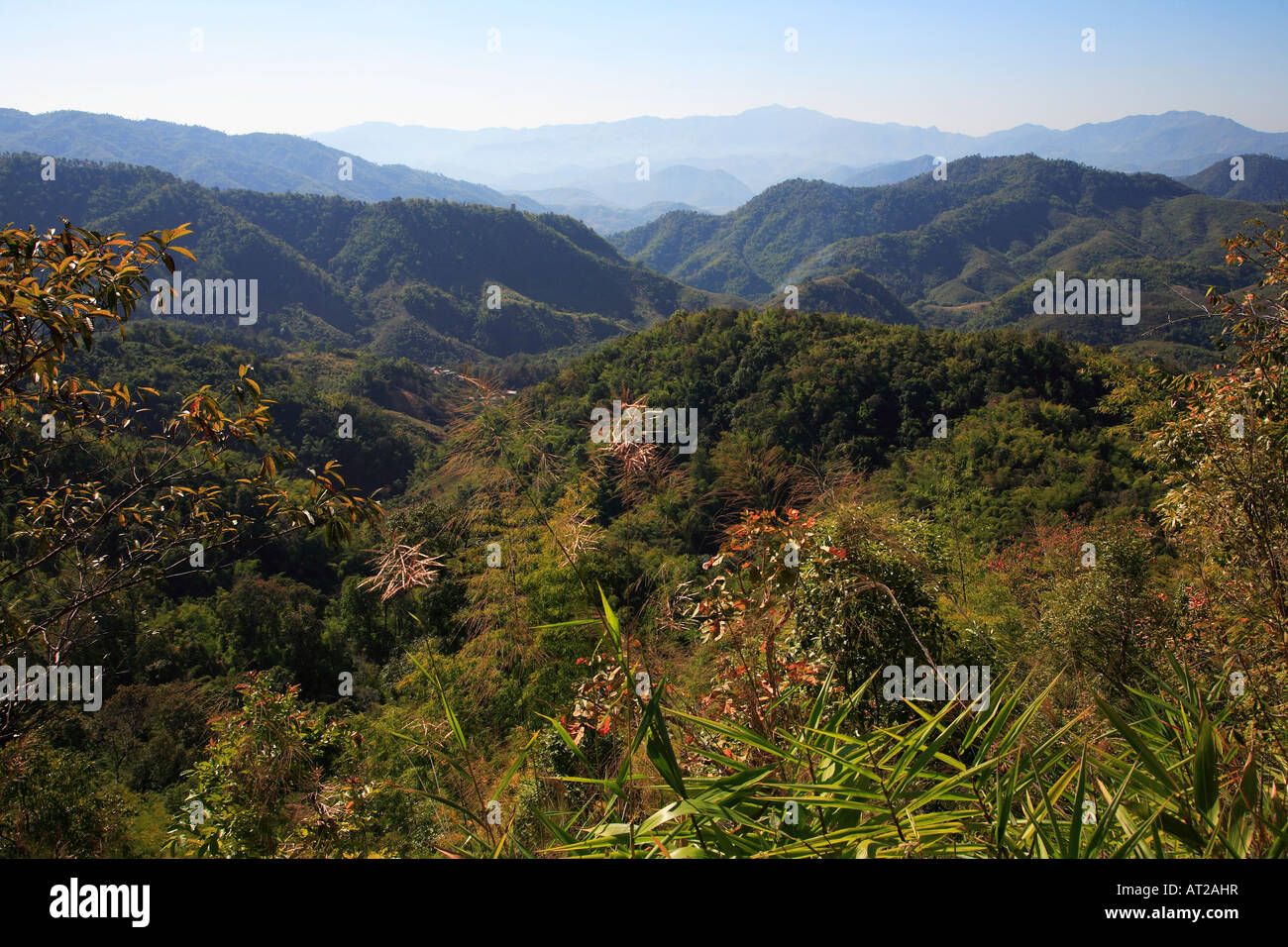 Thailand Chiang Rai Province Golden Triangle landscape scenery Stock ...