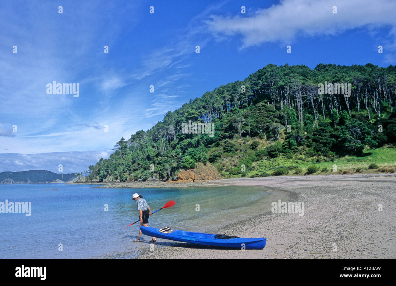 Roberton island new zealand hi-res stock photography and images - Alamy