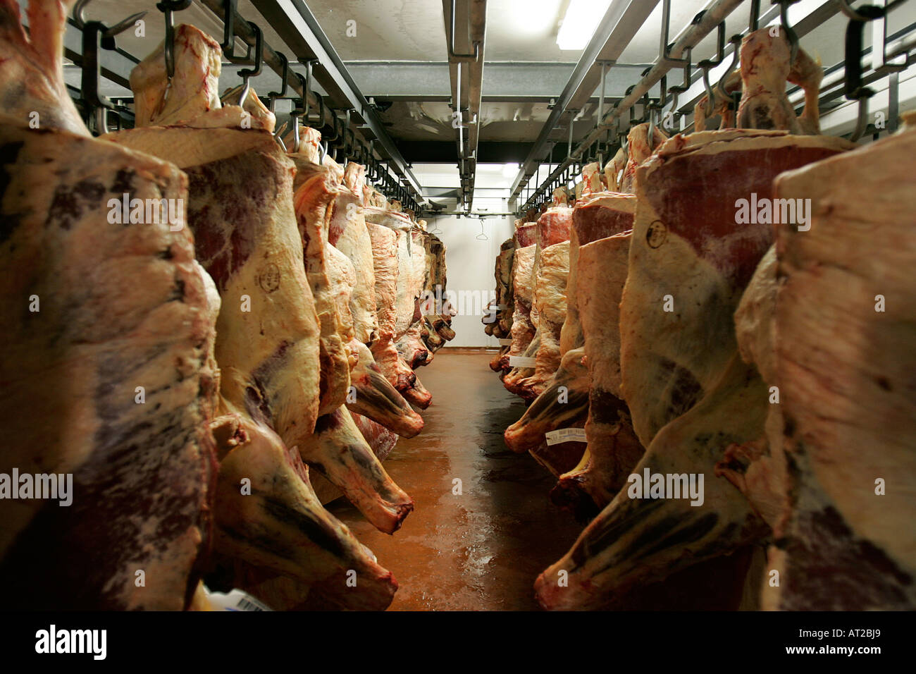 Abattoir hi-res stock photography and images - Alamy