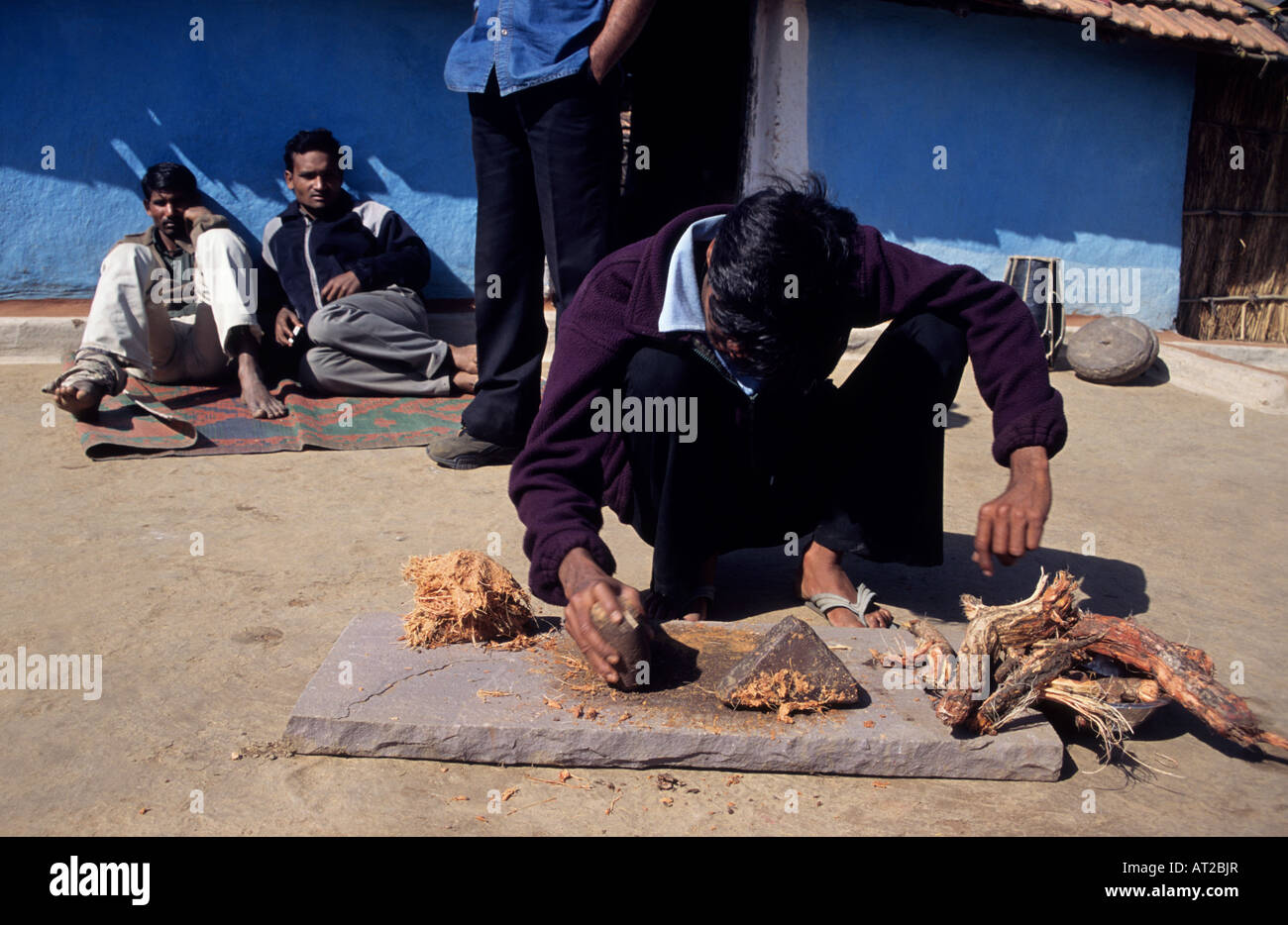 Snake bites hi-res stock photography and images - Alamy