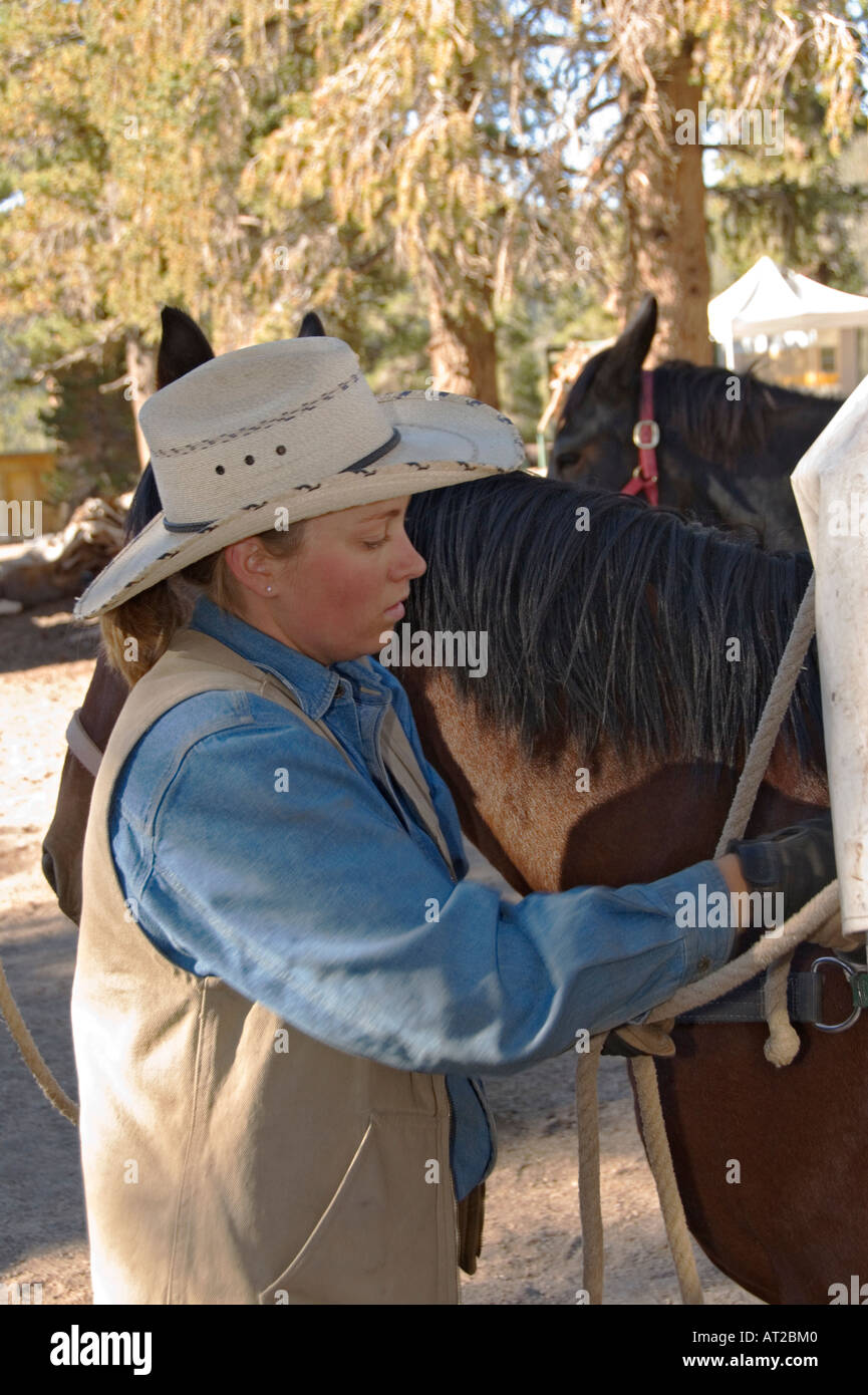 California Sierra Nevada Mountains female packer loading pack horse MR ...