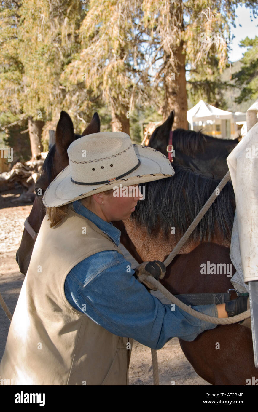 California Sierra Nevada Mountains female packer loading pack horse MR ...