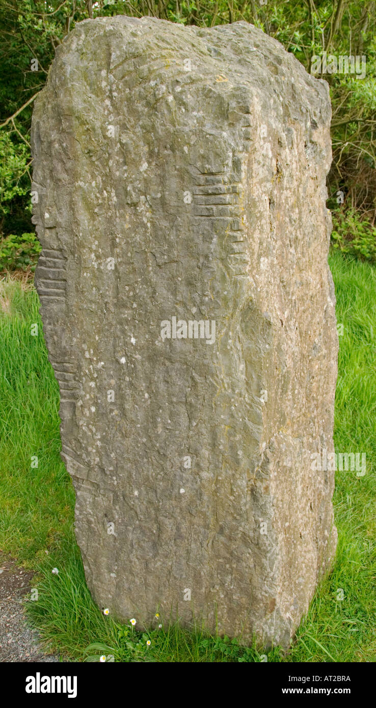 Ireland County Wexford Irish National Heritage Park Ogham Stone replica ...