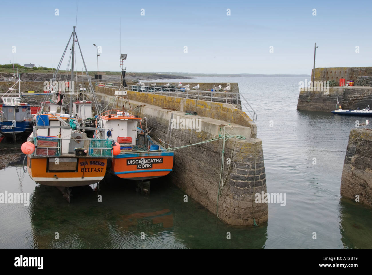 Ireland County Wexford Hook Head Peninsula Slade Village harbour ...