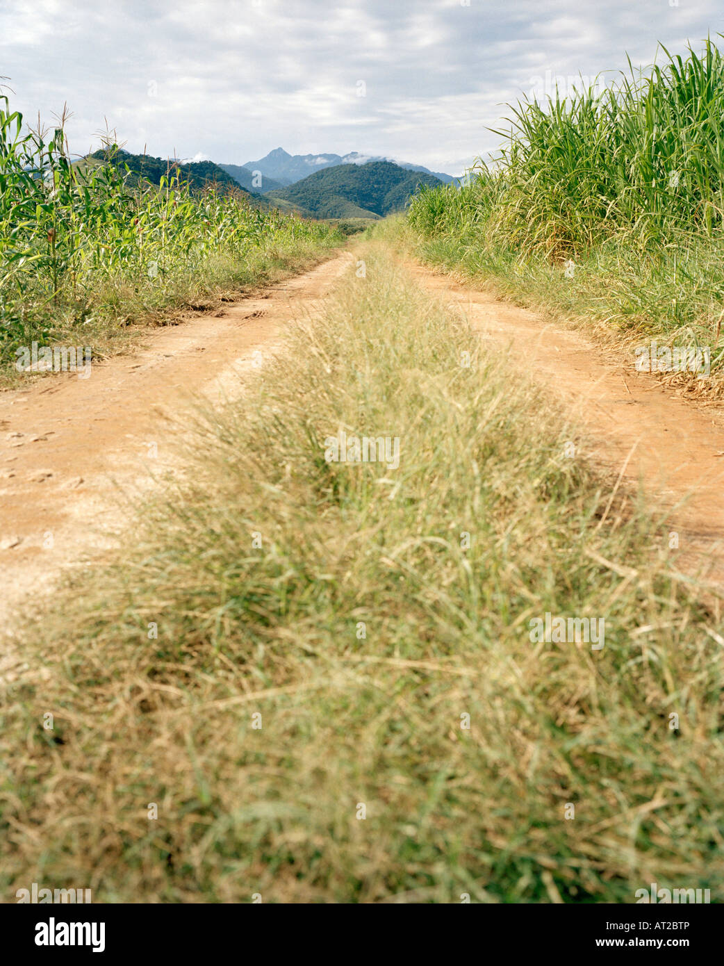 Dirt and grass track Stock Photo - Alamy