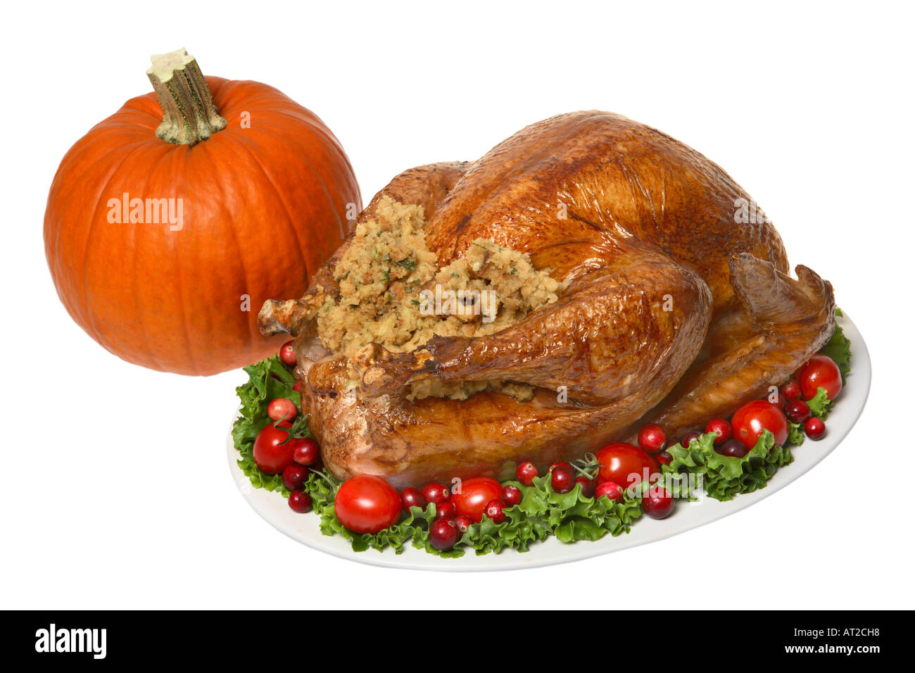 Thanksgiving Turkey and Pumpkin Stock Photo - Alamy