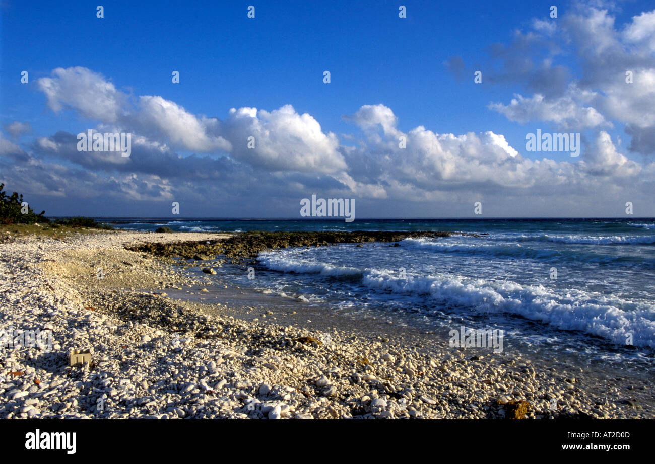 Playa coral mexico hi-res stock photography and images - Alamy