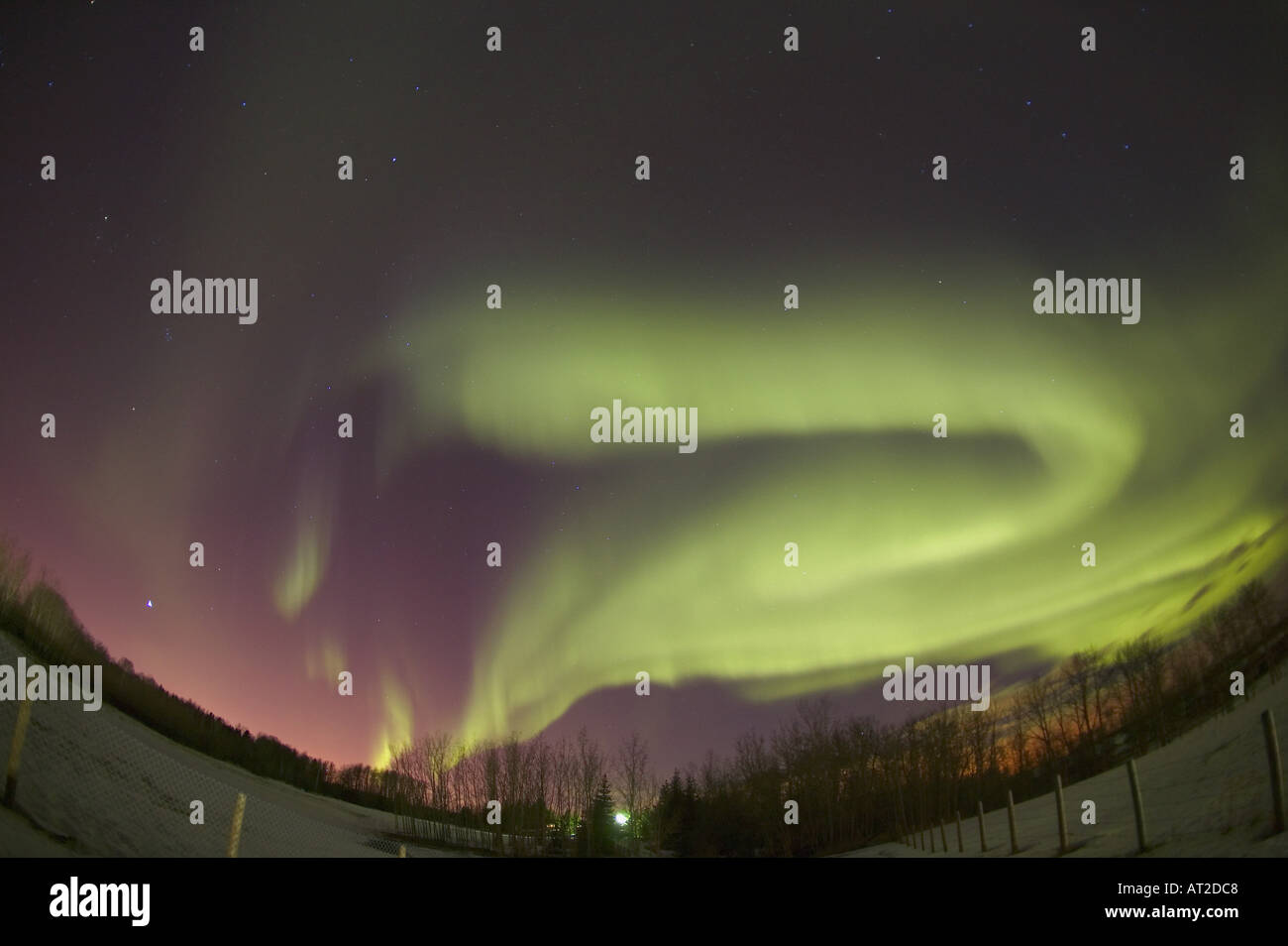 Neon green eye shadow hi-res stock photography and images - Alamy