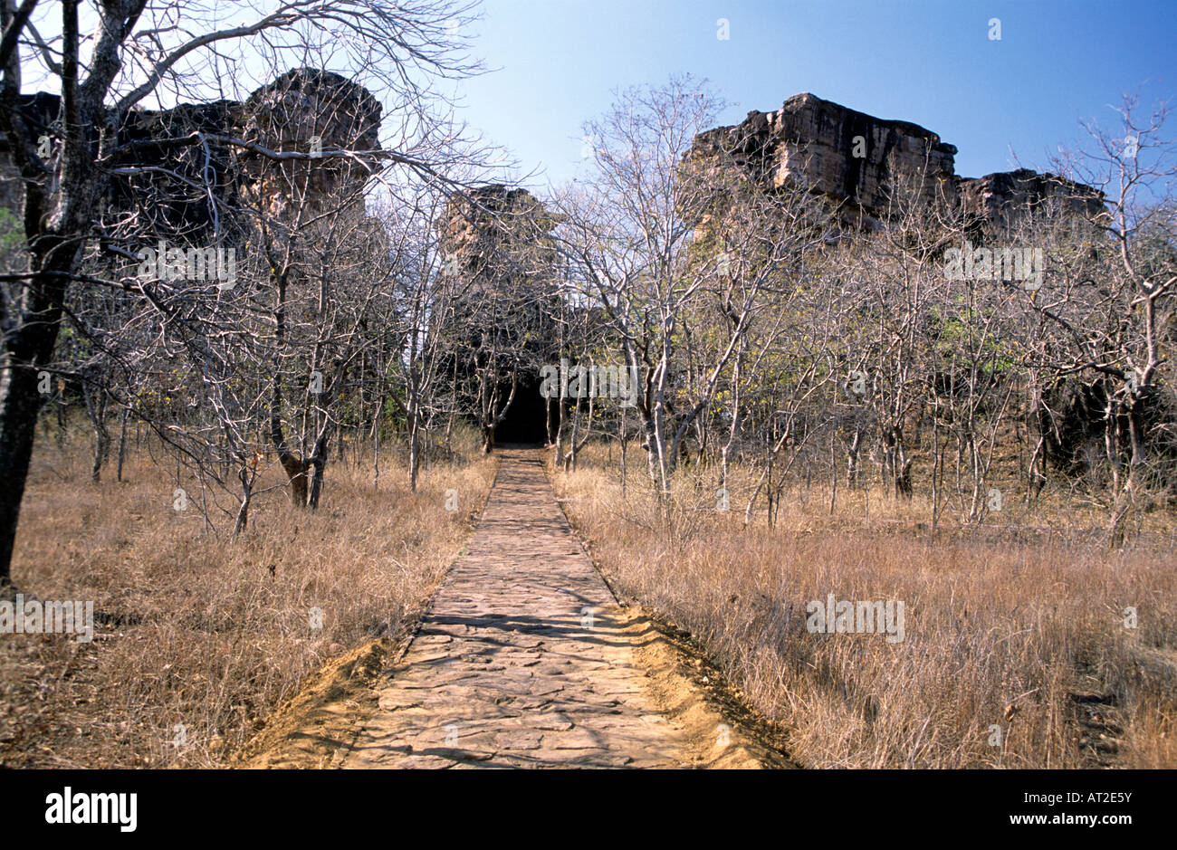 Bhimbetka Forest in Ratapani Sanctuary of Raisen District, Madhya ...