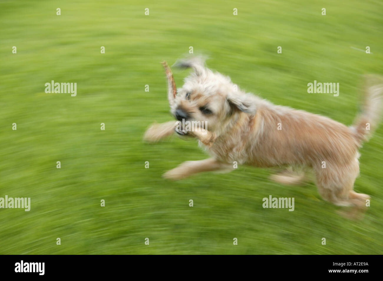 Energy speed hi-res stock photography and images - Alamy