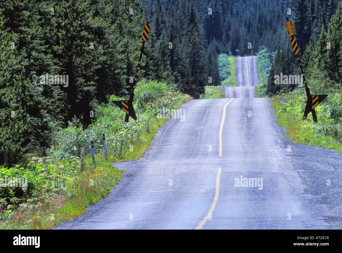 Transportation in nature hi-res stock photography and images - Alamy