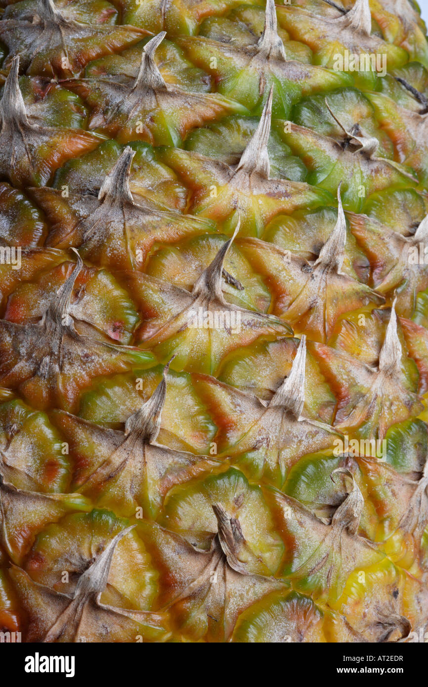 Close up pineapple skin hi-res stock photography and images - Alamy