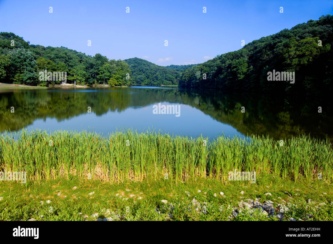 Brown county state park indiana hi-res stock photography and images - Alamy