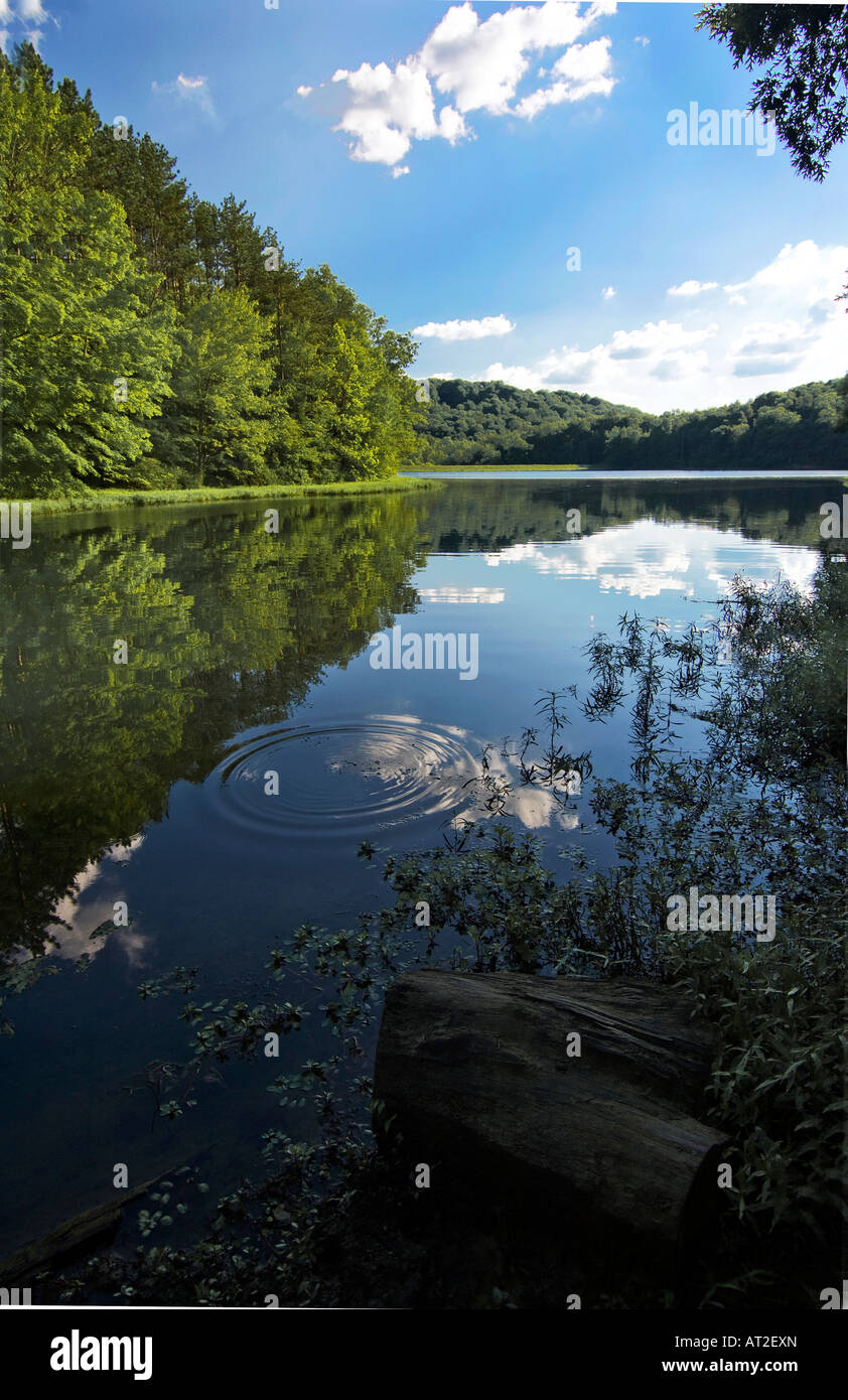 Lake in Yellowwood State Forest in Brown County near Nashville Indiana ...