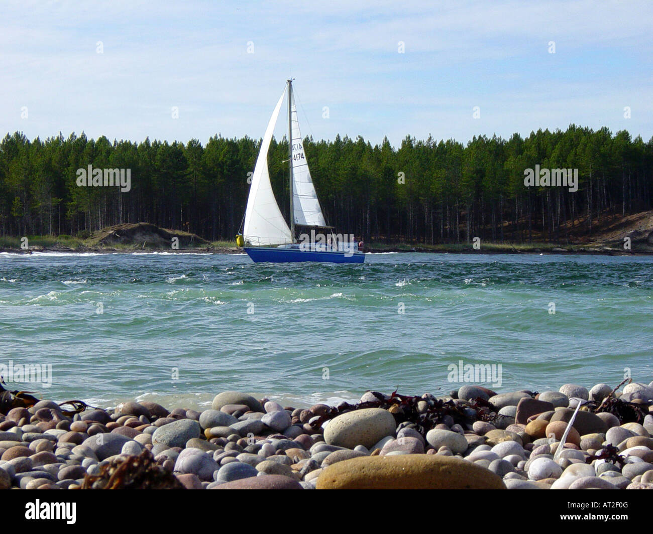 Culbin Forest Scotland High Resolution Stock Photography and Images - Alamy