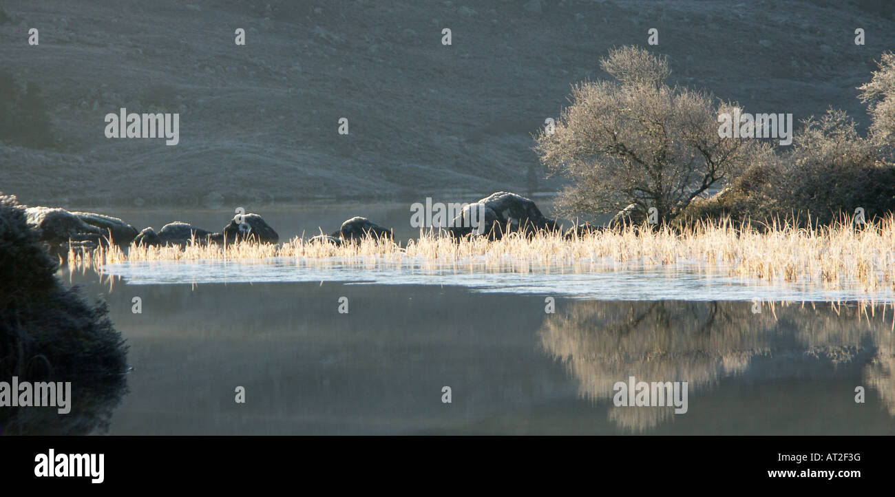 Fishi ng hi-res stock photography and images - Alamy