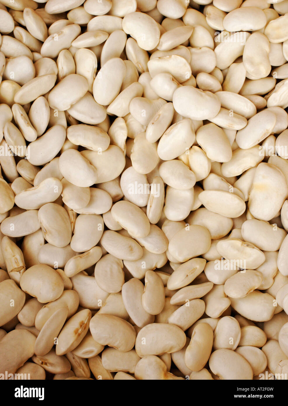 White beens hi-res stock photography and images - Alamy