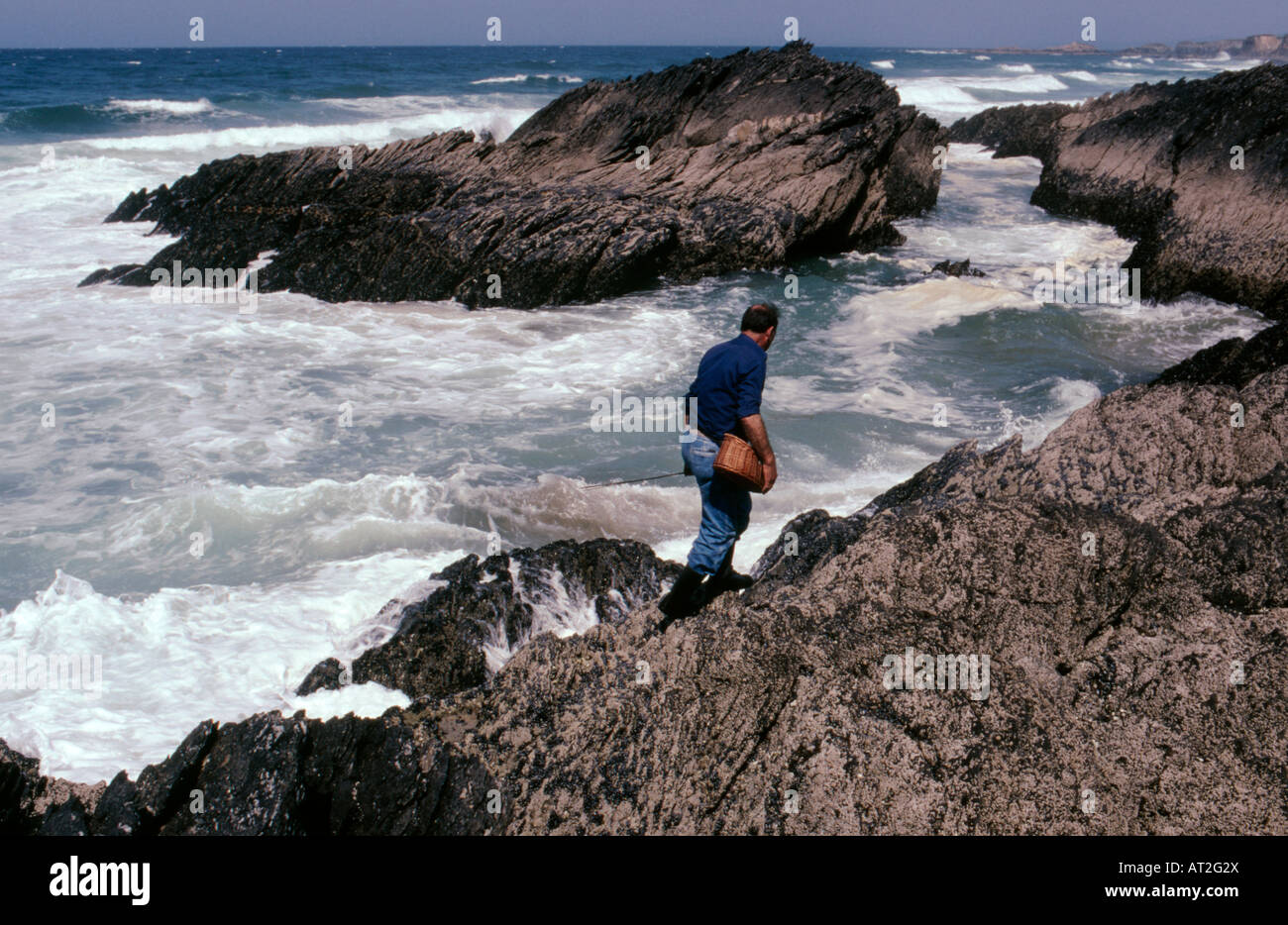 Hunting for percebes, rock barnacles, on the Costa del Morte coast of ...