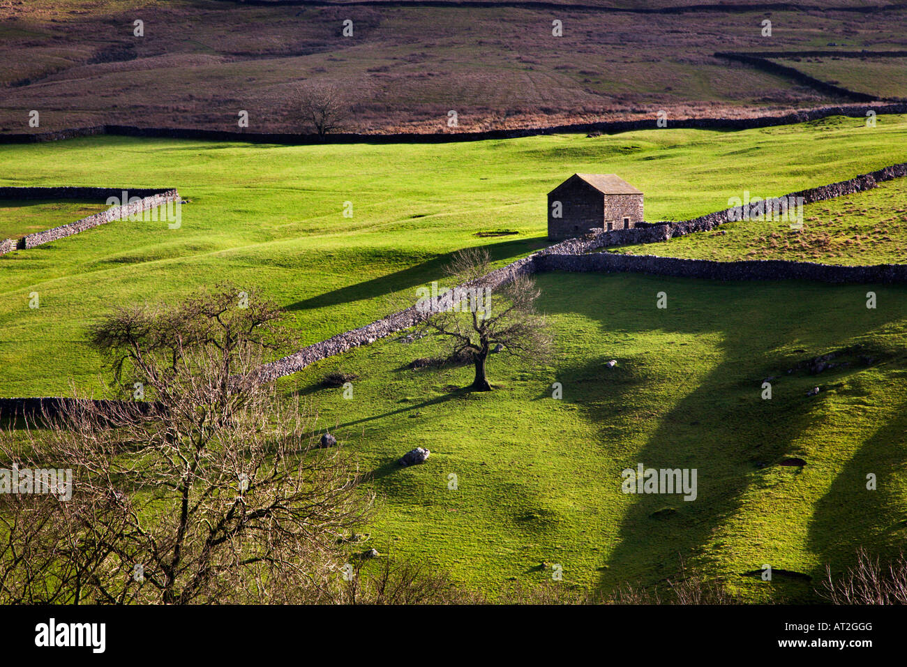 Barn and Dry Stone Walls Malhamdale Yorkshire Dales England Stock Photo ...