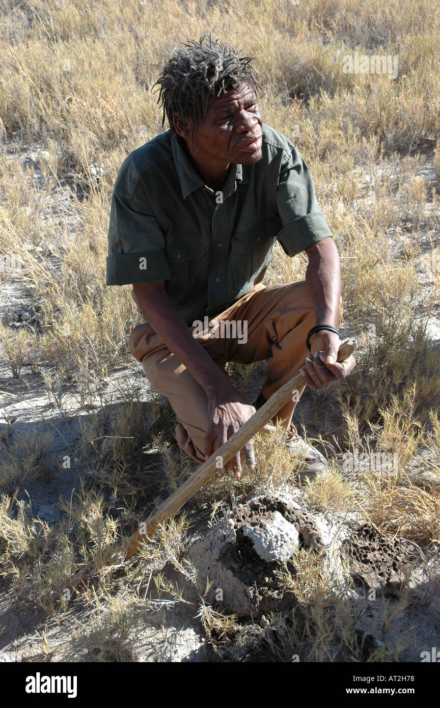 Kalahari desert san tribesman hi-res stock photography and images - Alamy