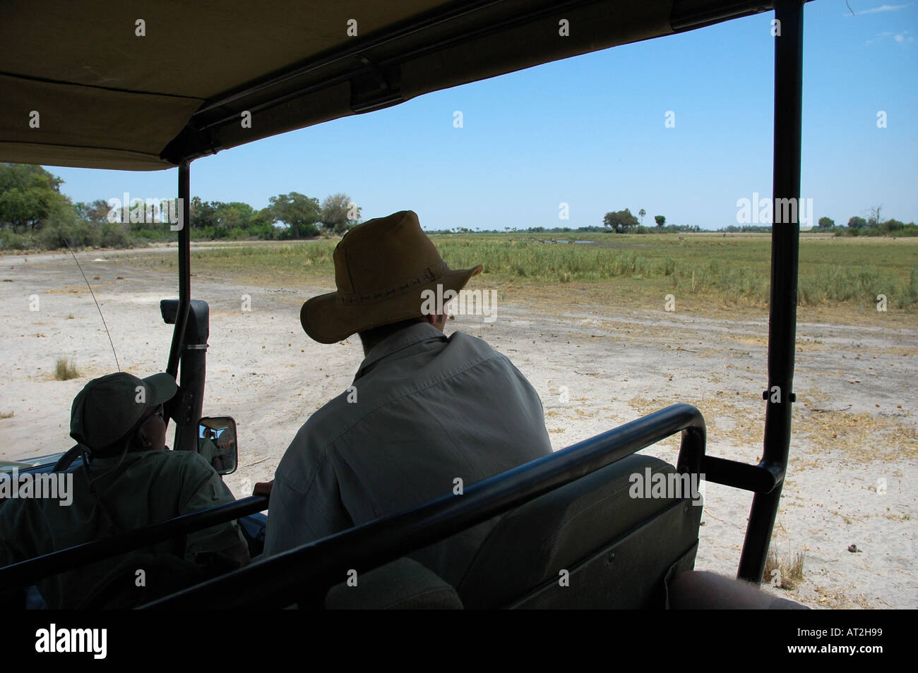 Safari at Tubu Tree safari nature reserve Okavango Delta Botswana ...