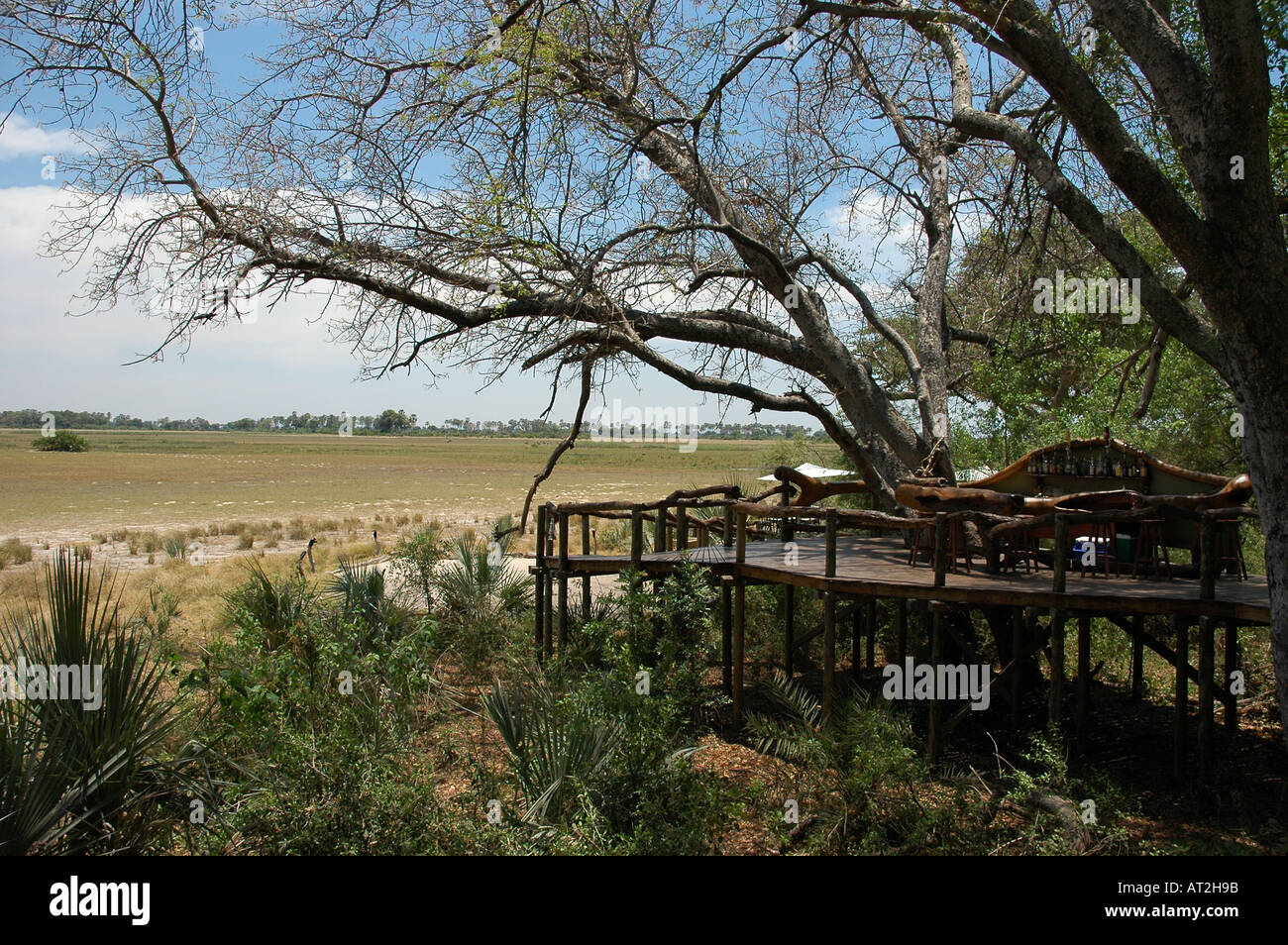 Outside outdoors Bar at Tubu Tree safari nature reserve Okavango Delta ...