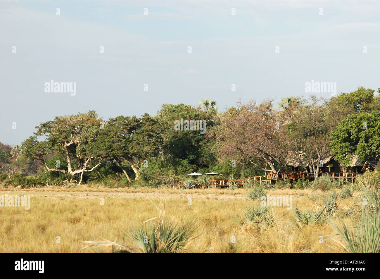 Tubu Tree safari nature reserve Okavango Delta Botswana southern Africa ...
