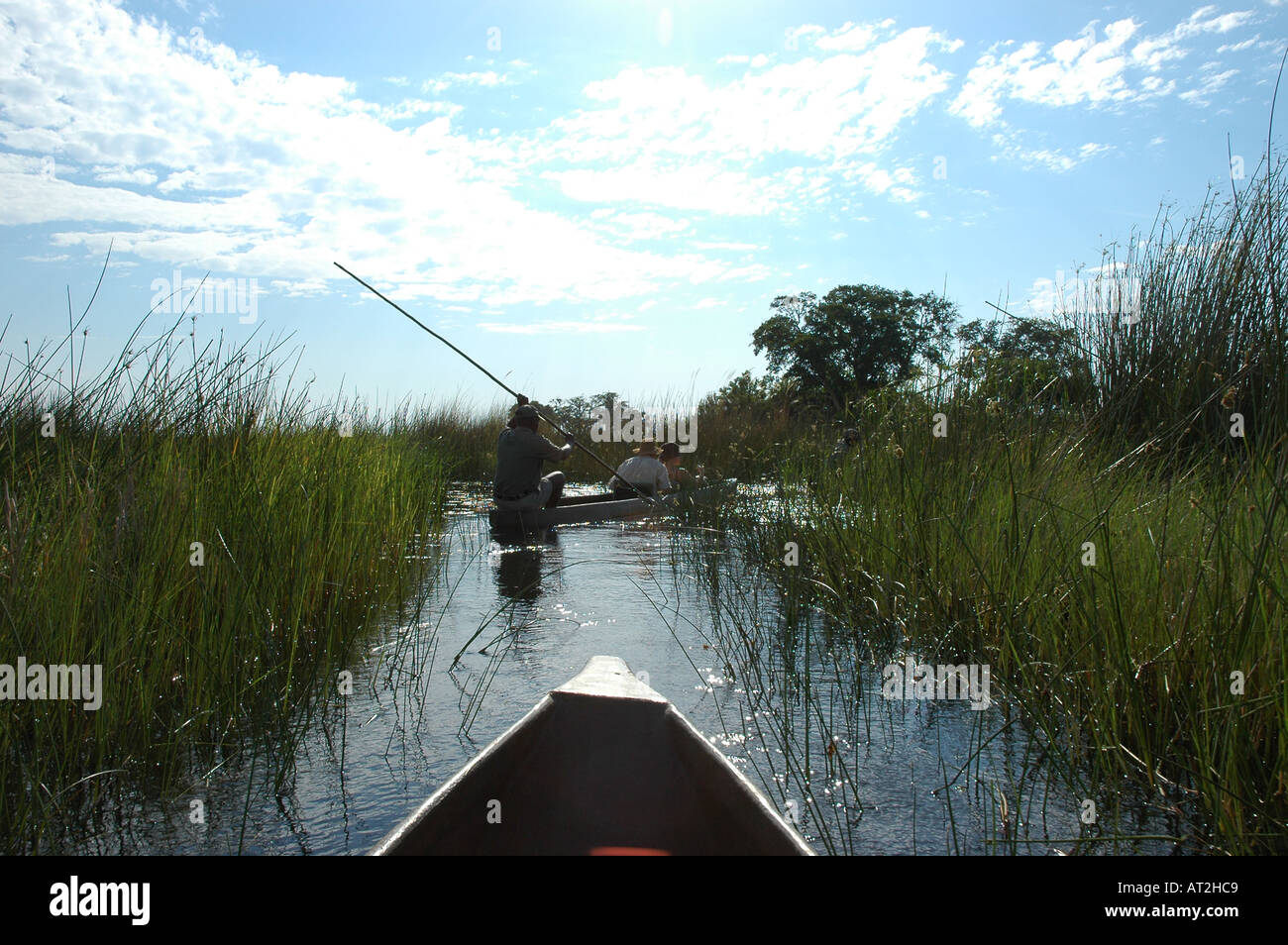 Mokoro in okavango dry hi-res stock photography and images - Alamy